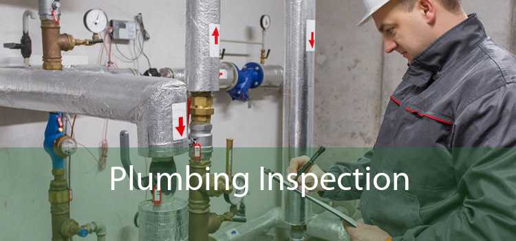Plumbing Inspection - Professional Plumbing System Inspection